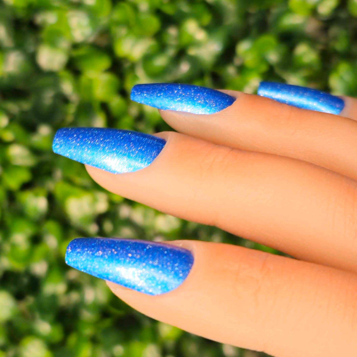 Lifescript – ChromaVerse Polish